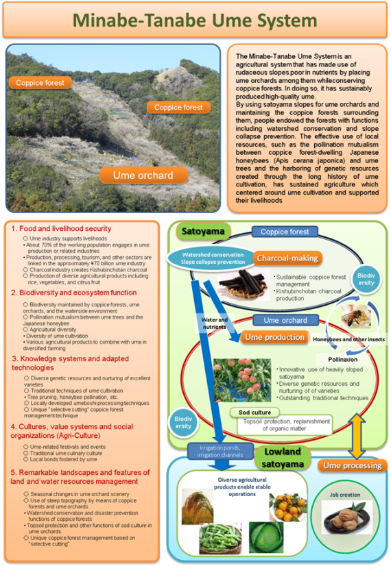 Minabe-Tanabe Ume system(GIAHS) – 紀州田辺うめ振興協議会